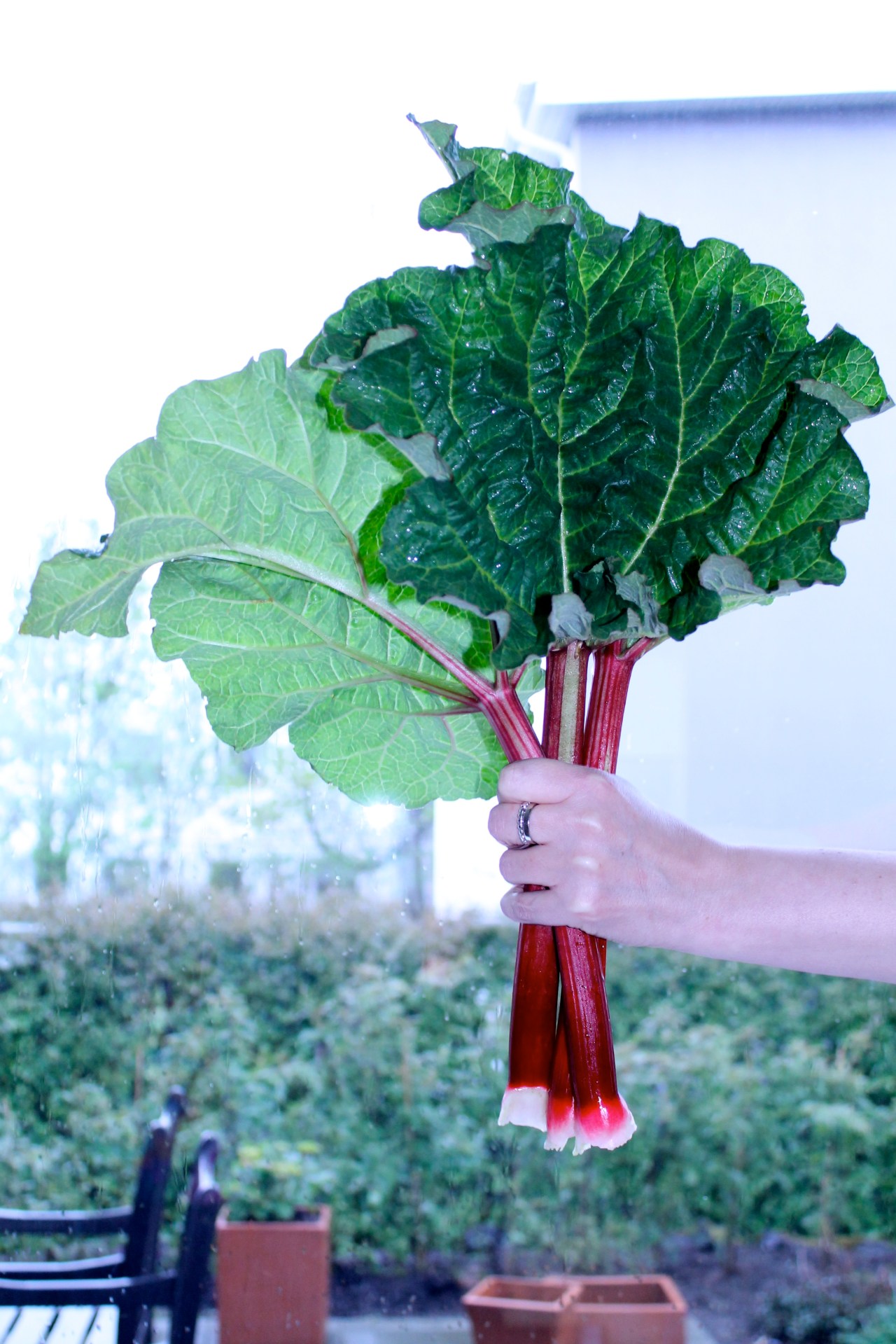 Rabarbara og jarðarberja mylsnubaka m/engifer | Krydd & Krásir