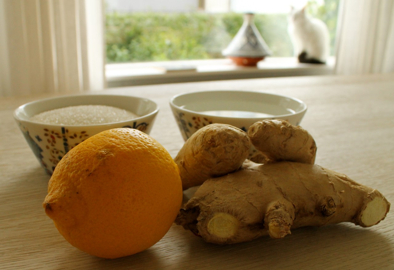 Engifer-gos | Krydd & Krásir